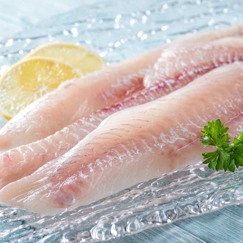 Fresh Haddock, Delivered | Vermont Slopeside Seafood